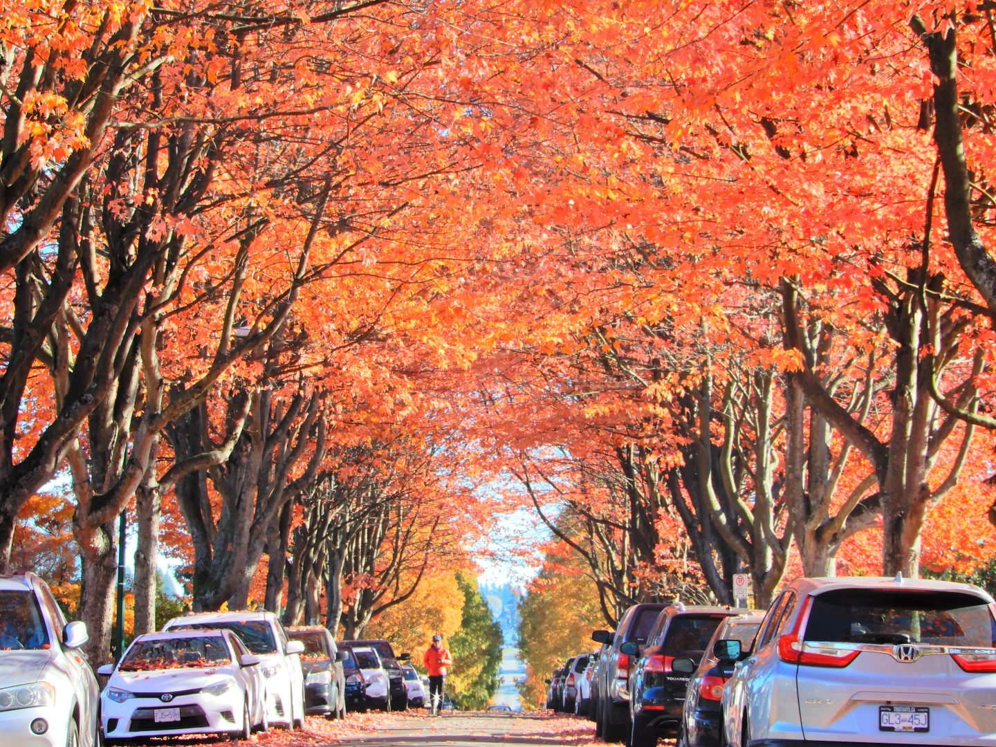 Kathy 打工遊學 CICCC｜不要給自己設限太多，放鬆享受的去學習 - Hello Study 楓禾留遊學