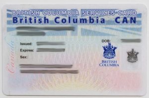 MSP 卑詩省醫療保險 BC Medical Services BC省 #國際學生 #加打 - Hello Study 楓禾留遊學